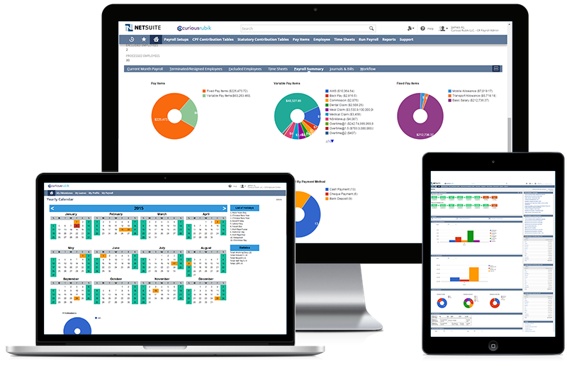 NetSuite Global HR App || NetSuite Resource Management & Consulting ...